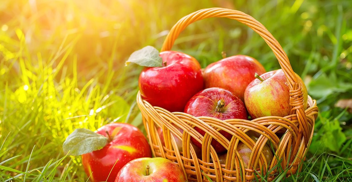 Waarom hebben we kalium nodig? (en zo herken je een kaliumtekort ...